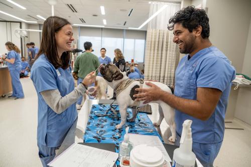 CVM Prerequisites | College of Veterinary Medicine